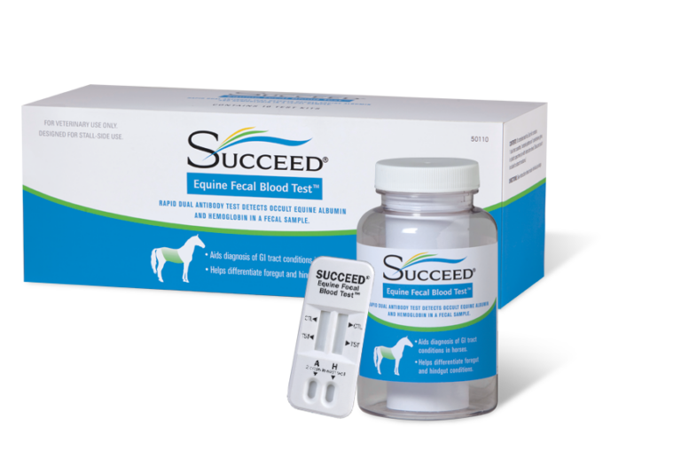 Your Horse's Blood Work & What It Means for Gut Health