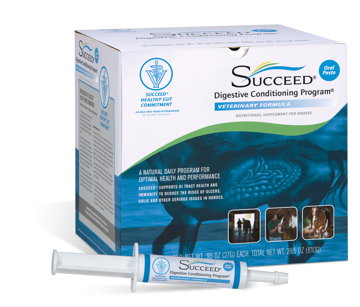 SUCCEED Equine Products for Digestive Support in Horses