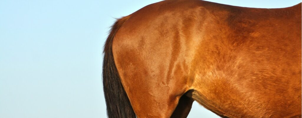 SUCCEED for Long-Term GI Support