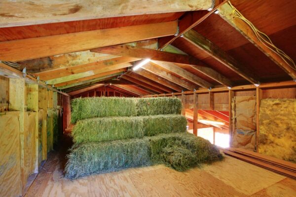 Hay is for Horses, on How to Store Hay