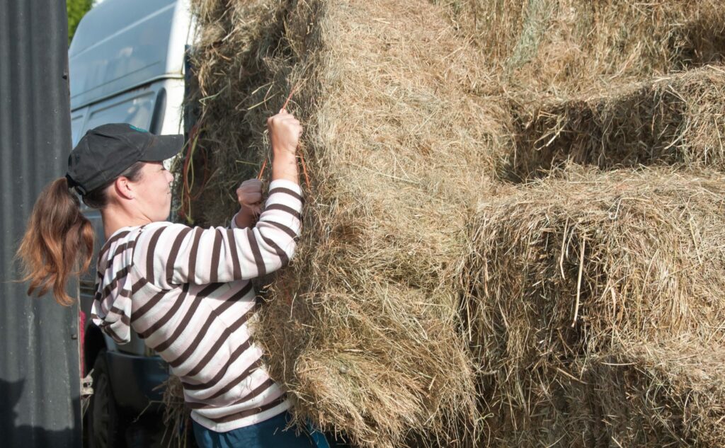 Hay is for Horses, on Types of Hay