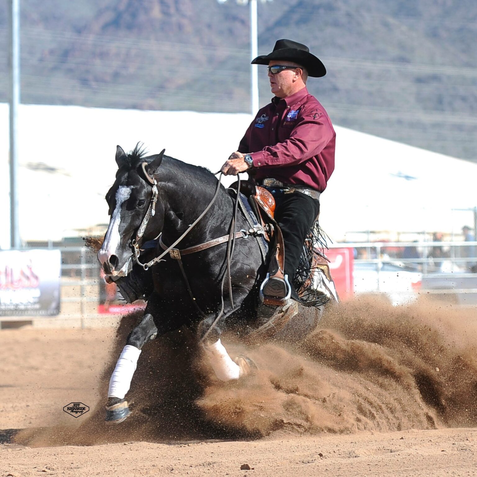SUCCEED Equine | Products & Resources for Horse Gut Health