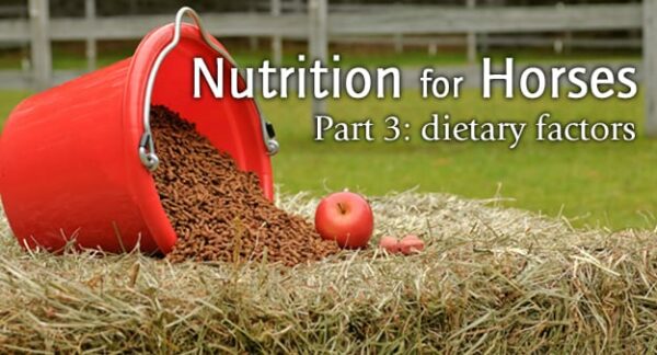 The Healthy Horse Diet: Dietary Factors Affecting Nutrient Needs
