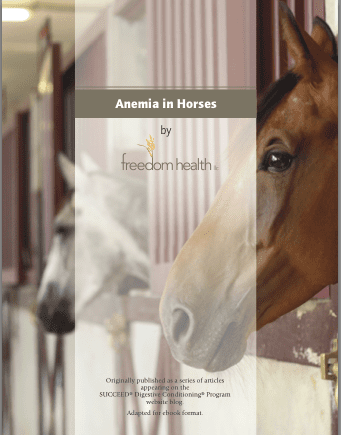 Anemia In Horses Part 5: Treating Equine Anemia